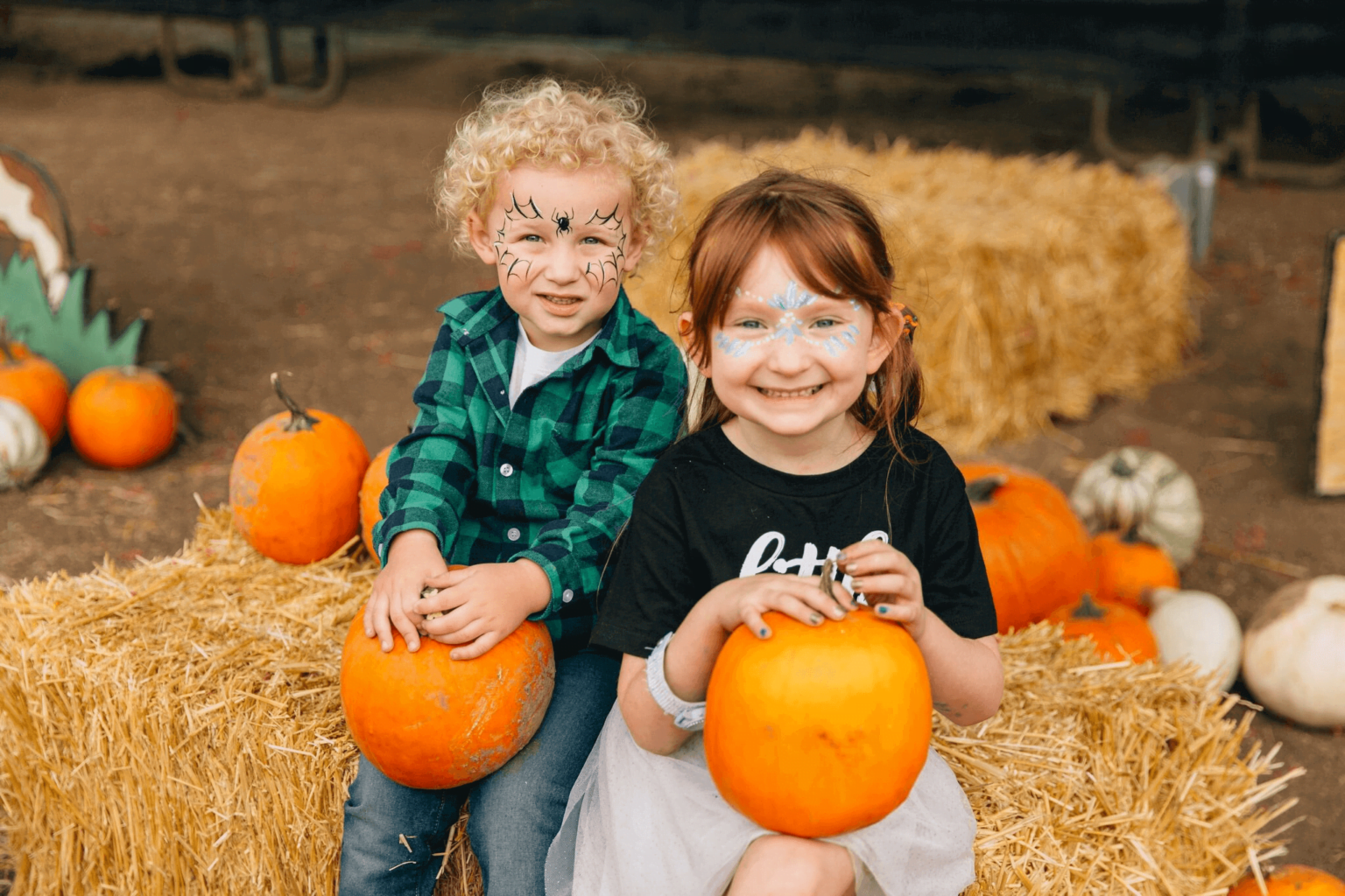 25 Best & Fun Things To Do In Calhoun, GA (2025) - Chief Tourist