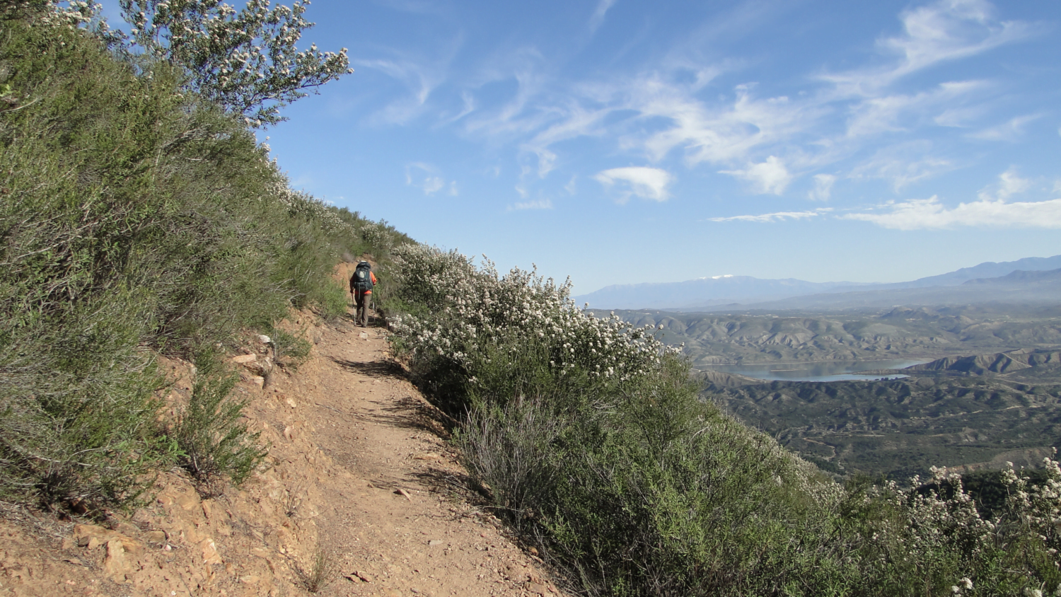 35 Best & Fun Things To Do In Temecula, CA (2025) - Chief Tourist