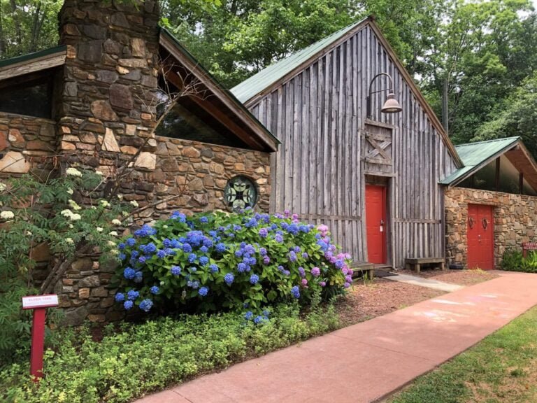 17 Best & Fun Things To Do in Buford, GA (2025) - Chief Tourist