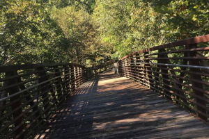 17 Best & Fun Things To Do in Buford, GA (2024) - Chief Tourist