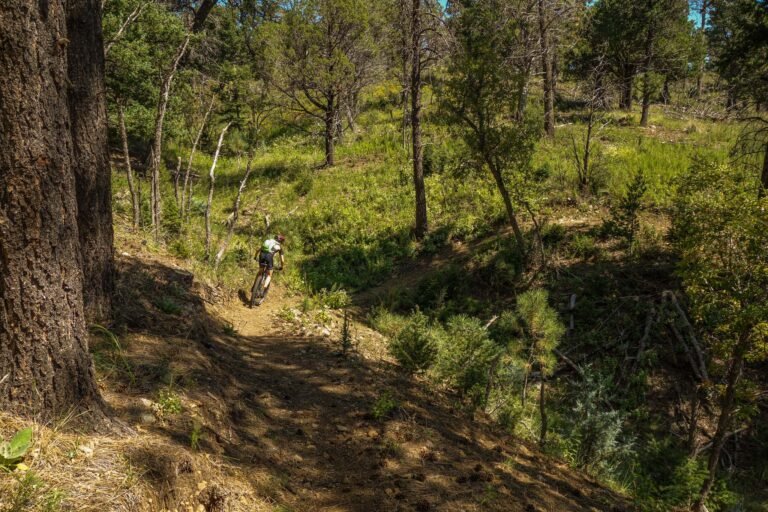 26 Best & Fun Things To Do In Ruidoso, NM (2025) - Chief Tourist