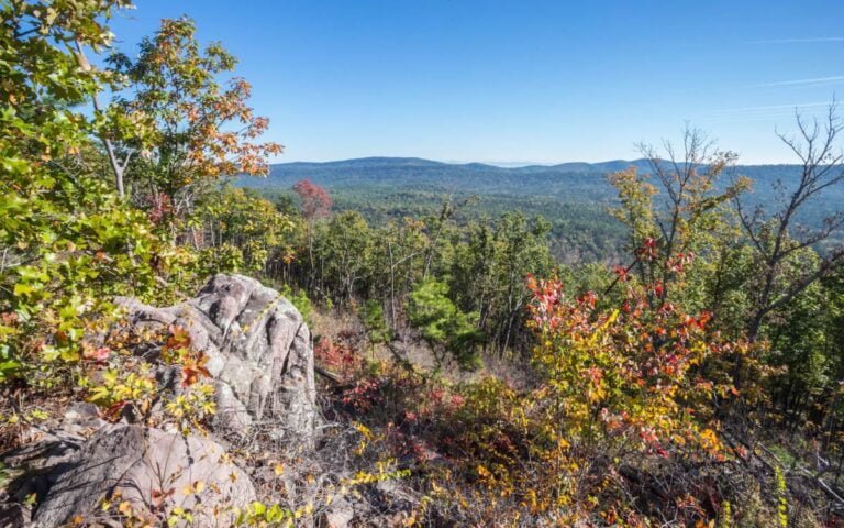 25 Best & Fun Things To Do In Calhoun, GA (2025) - Chief Tourist