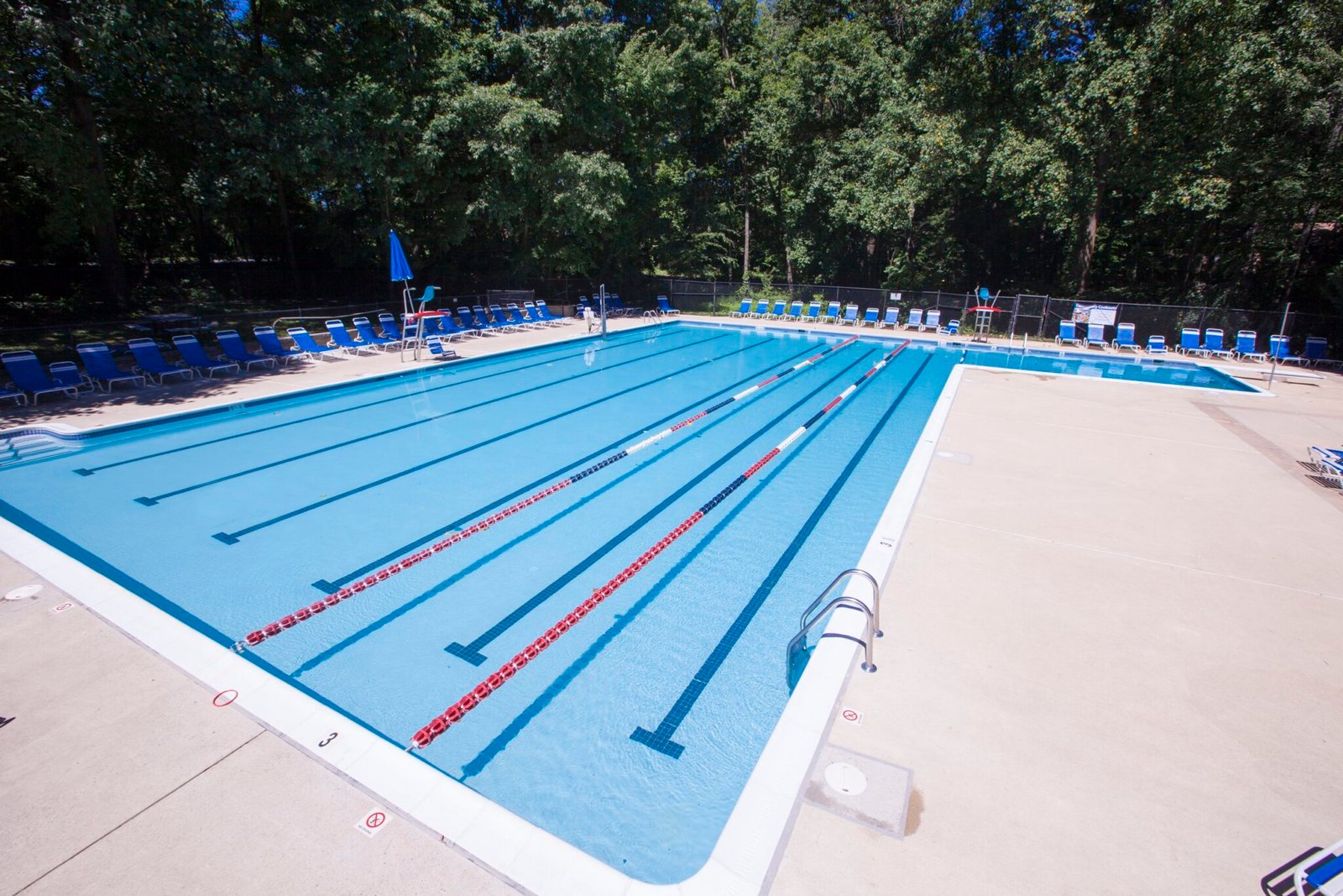 29 Best & Fun Things To Do In Reston, VA (2025) - Chief Tourist