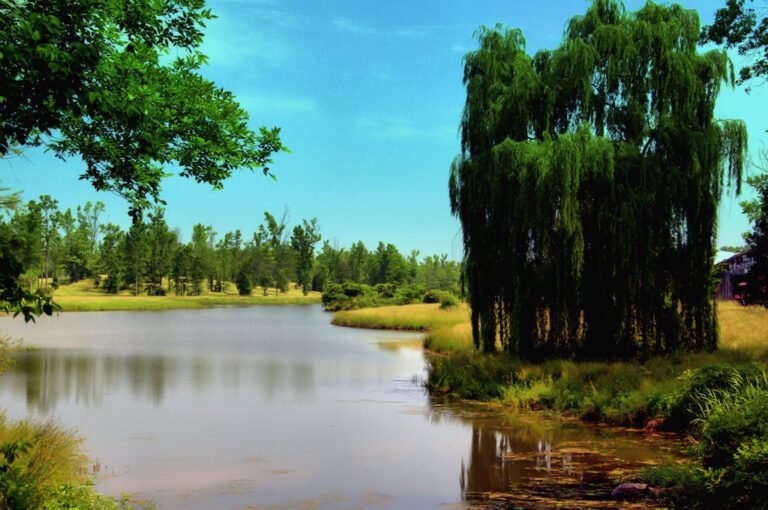 25 Best & Fun Things To Do In Calhoun, GA (2025) - Chief Tourist