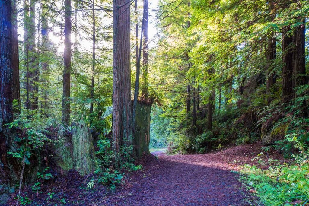 27 Best & Fun Things To Do In Decorah, IA (2025) - Chief Tourist