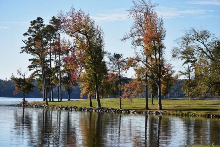 20 Best & Fun Things To Do In Canton, GA