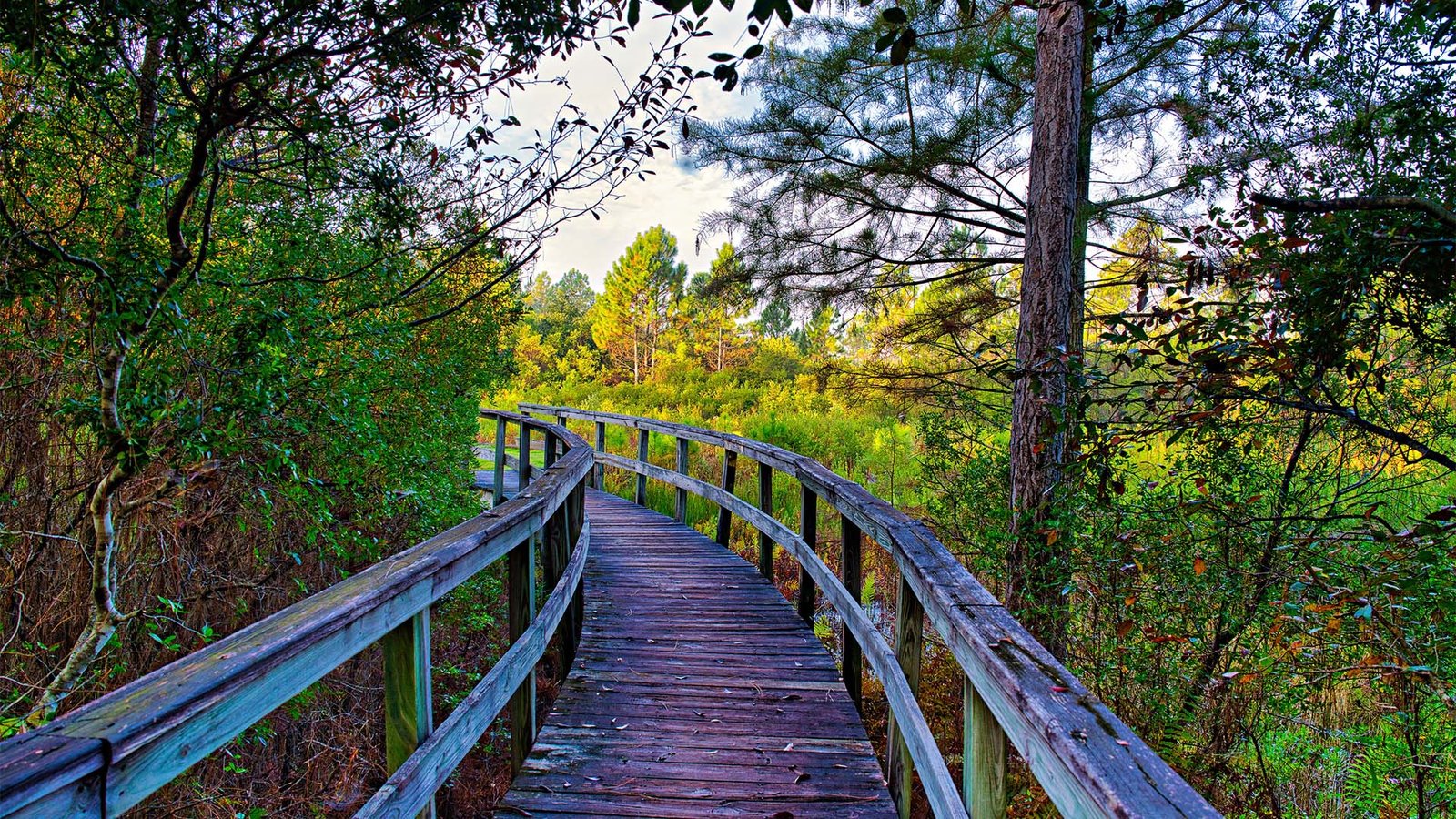 20 Best & Fun Things To Do In Hunter, NY (2025) - Chief Tourist