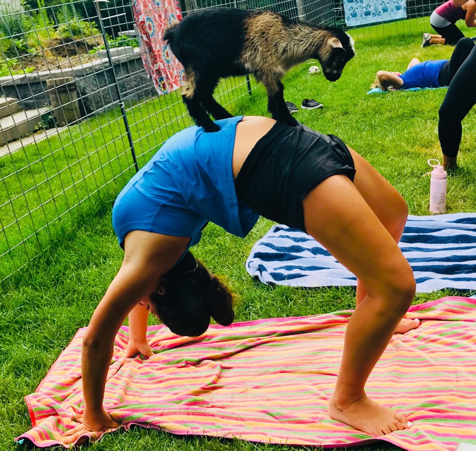 22 Best & Fun Things To Do In Greenwood, MS (2026) - Chief Tourist