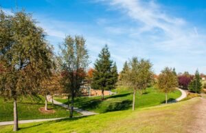 23 Best & Fun Things To Do In Rocklin, CA (2025) - Chief Tourist