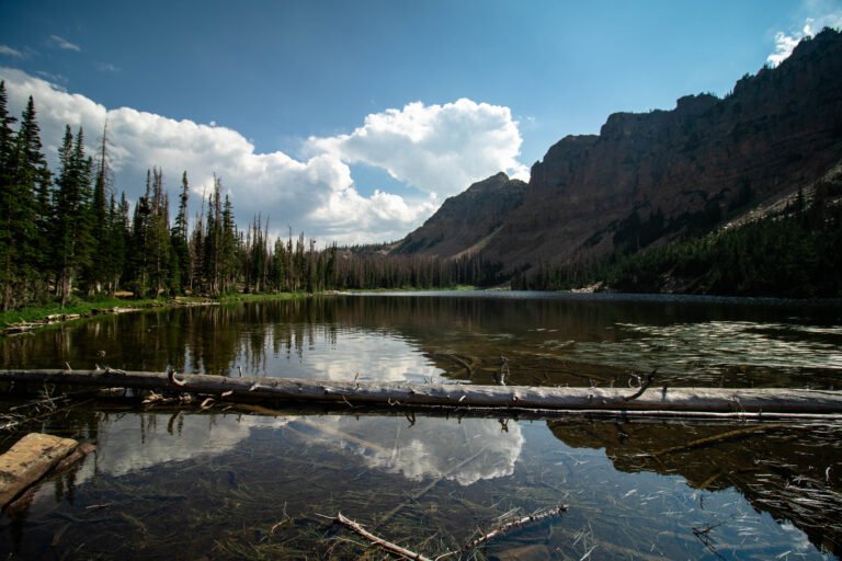 20 Best & Fun Things To Do In Hunter, NY (2025) - Chief Tourist