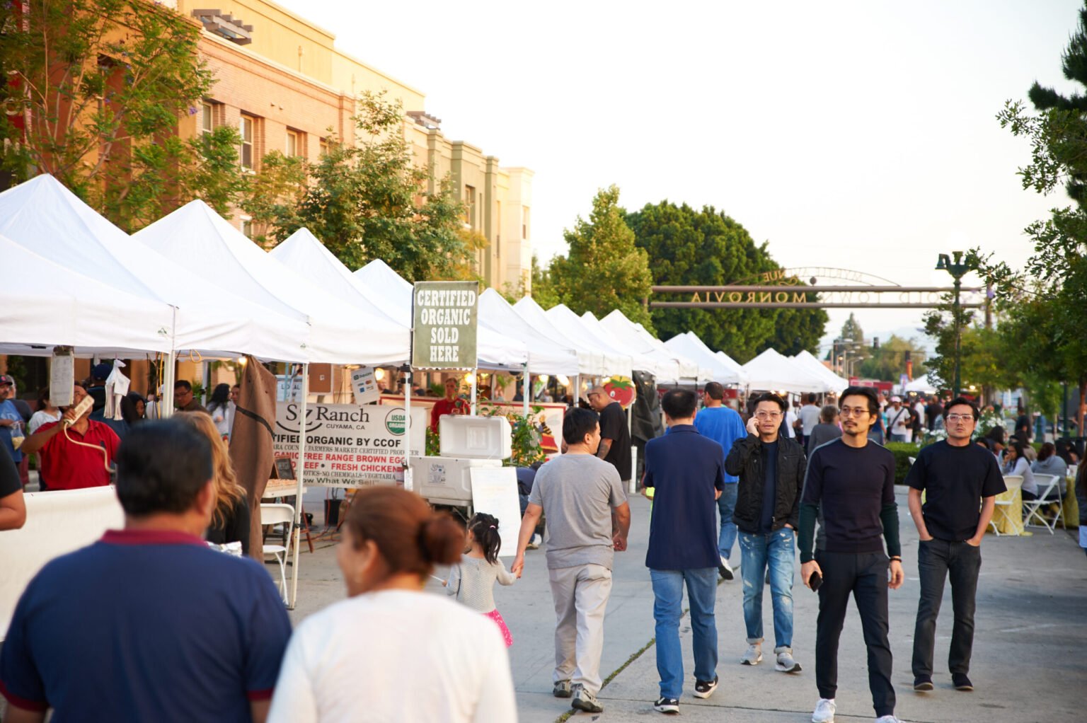 20 Best & Fun Things To Do In Canton, GA