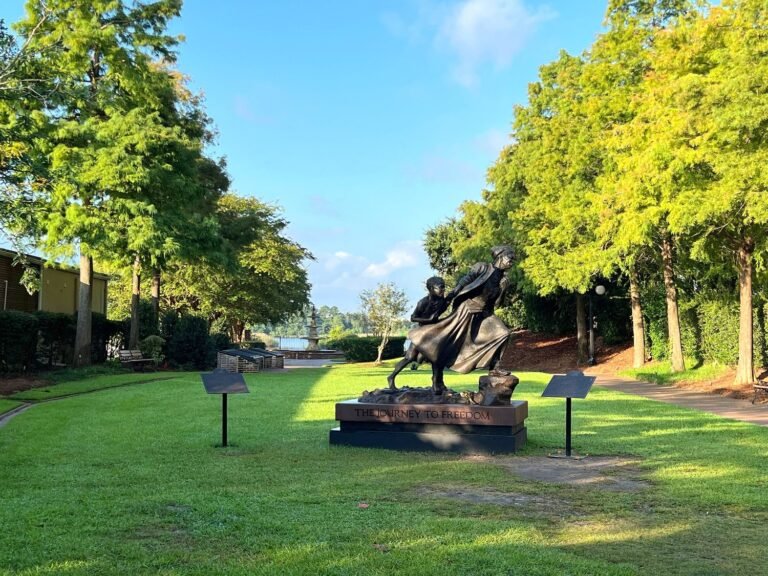 24 Best & Fun Things To Do In Georgetown, SC (2025) - Chief Tourist