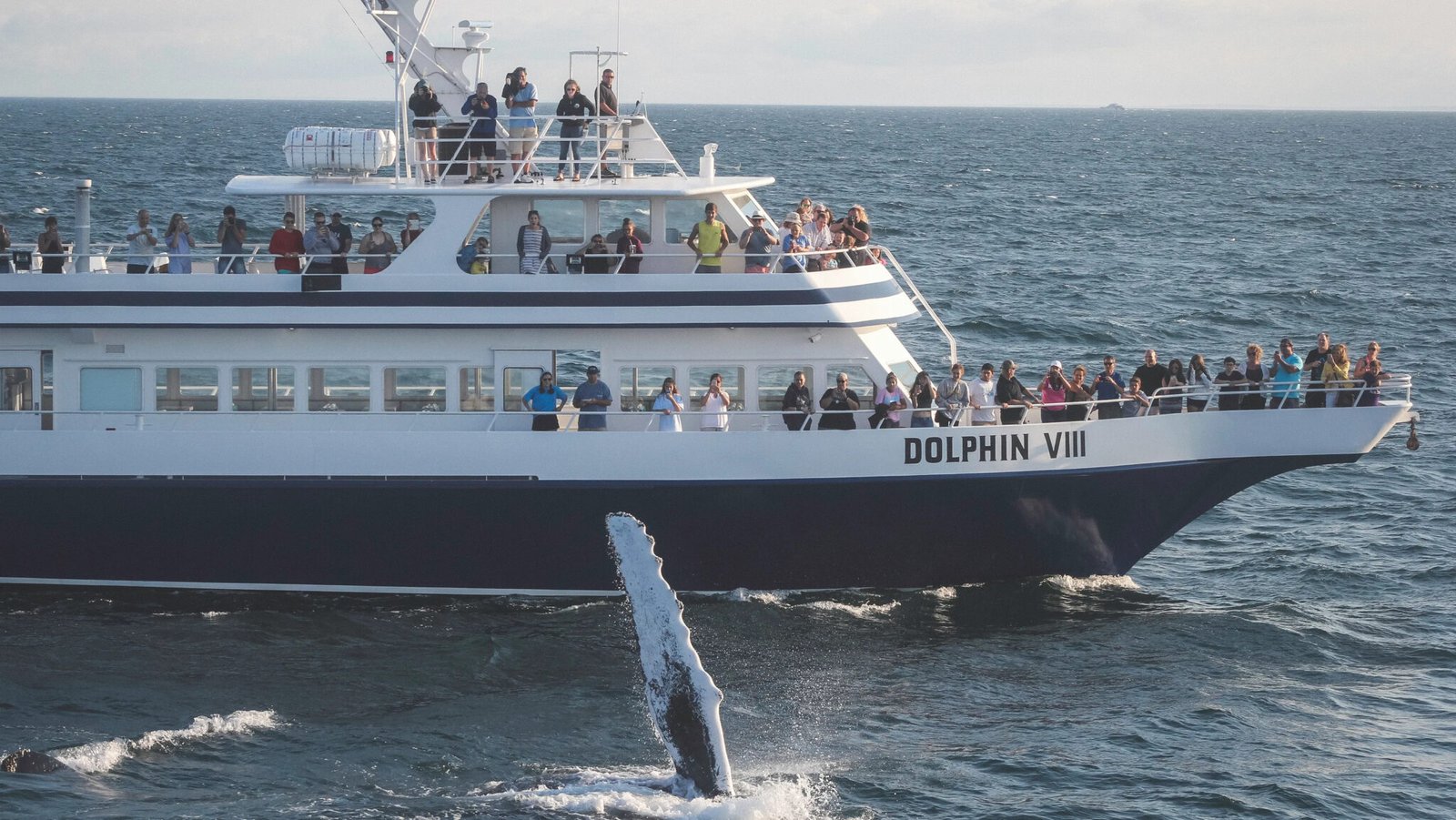 21 Best & Fun Things To Do In Gloucester, MA (2026) - Chief Tourist