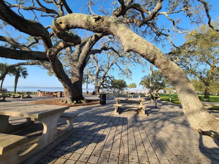 30 Best & Fun Things To Do In Brunswick, GA (2025) - Chief Tourist