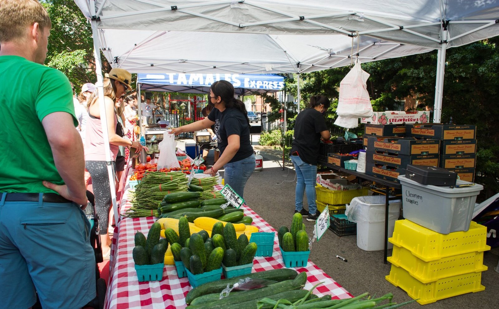 18 Best & Fun Things To Do in Roscoe, NY - Chief Tourist