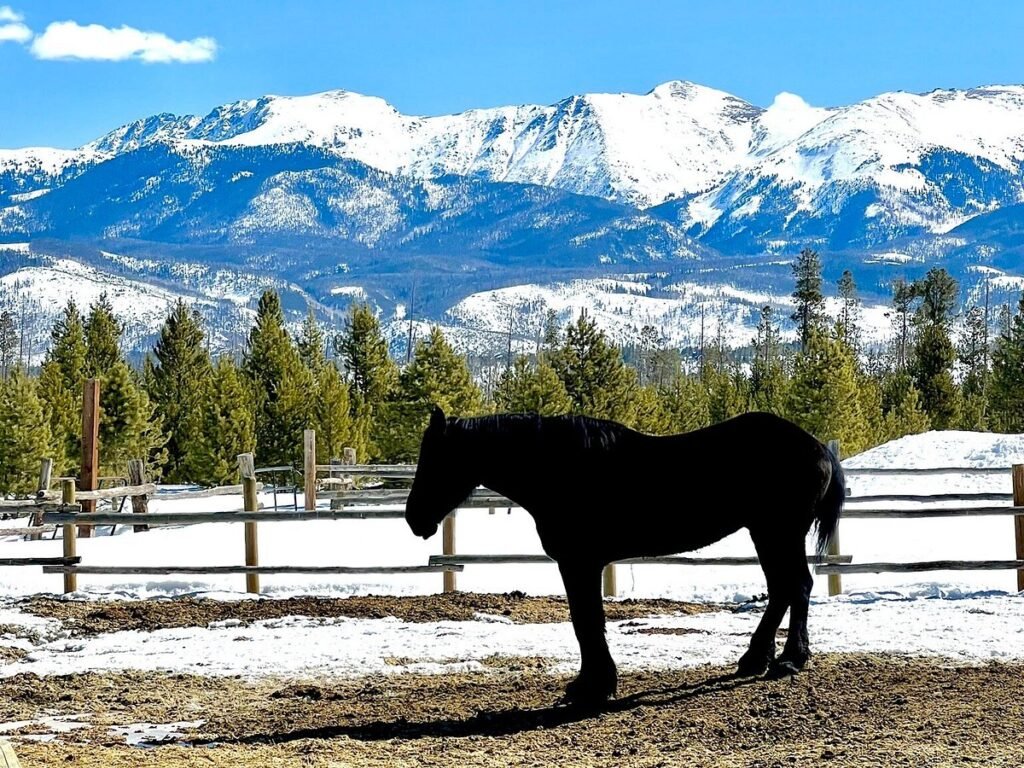 19 Best & Fun Things To Do In Fraser, CO (2025) - Chief Tourist